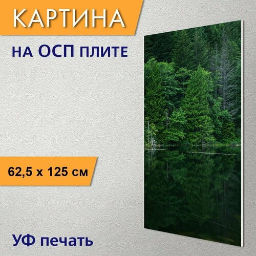 Вертикальная картина на ОСП "Природа, деревья, лес" 62x125 см. для интерьериа