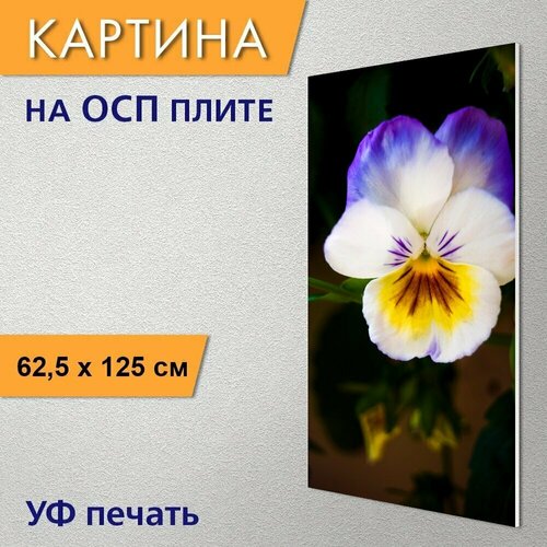 Вертикальная картина на ОСП "Анютины глазки, цветок, весна" 62x125 см. для интерьериа