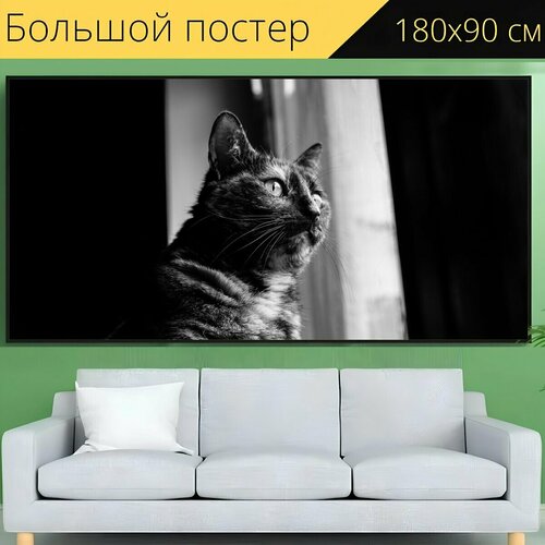 Большой постер "Кошка, дом, милый" 180 x 90 см. для интерьера