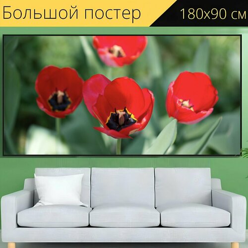 Большой постер "Флора, красные, тюльпаны" 180 x 90 см. для интерьера