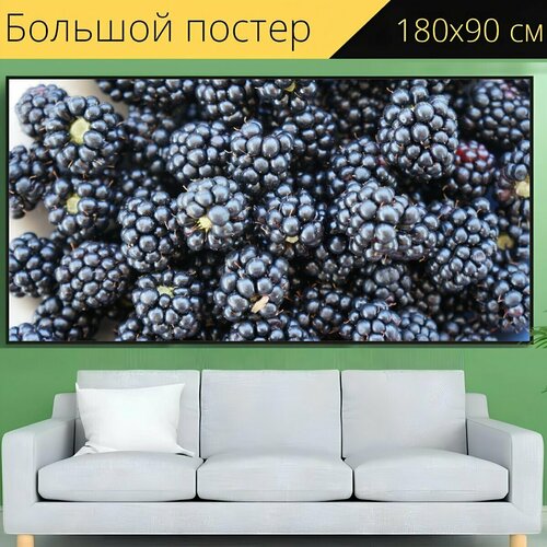 Большой постер "Ежевика, фрукты, сладкий" 180 x 90 см. для интерьера
