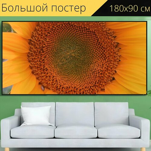 Большой постер "Подсолнечник, трава, цветок" 180 x 90 см. для интерьера