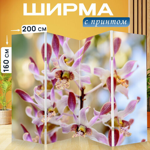 Ширма перегородка с принтом "Орхидея, цветок, розовый" на холсте - 200x160 см. для зонирования, раскладная