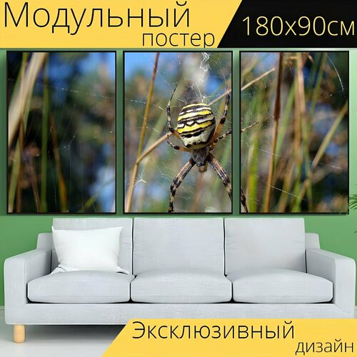 Модульный постер "Паук, паучья паутина, лес" 180 x 90 см. для интерьера