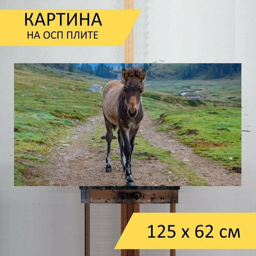 Картина на ОСП 125х62 см. "Милостыня, лошадь, жеребенок" горизонтальная, для интерьера, с креплениями