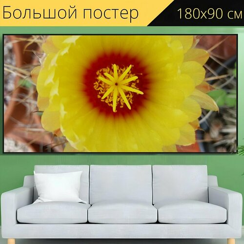 Большой постер "Кактус, цветок, завод" 180 x 90 см. для интерьера