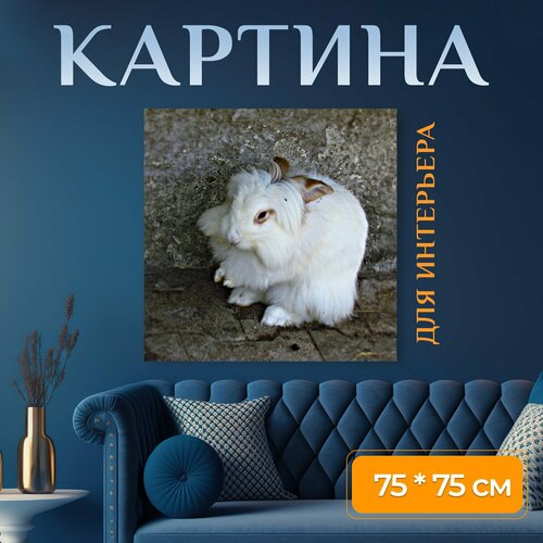 Картина на холсте "Кролик, ангора, животное" на подрамнике 75х75 см. для интерьера