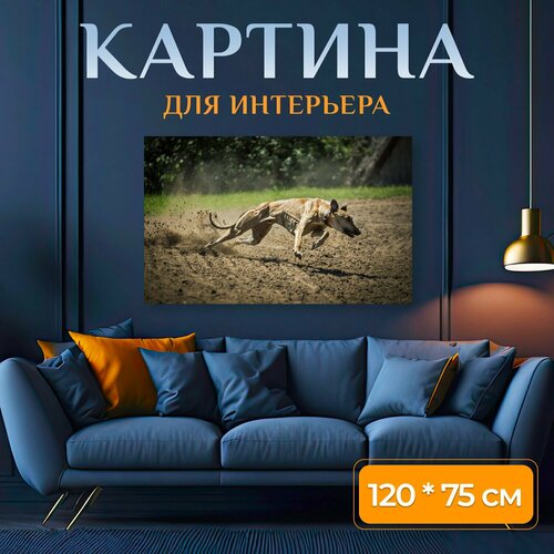 Картина на холсте "Собака, борзая, венгерская борзая" на подрамнике 120х75 см. для интерьера