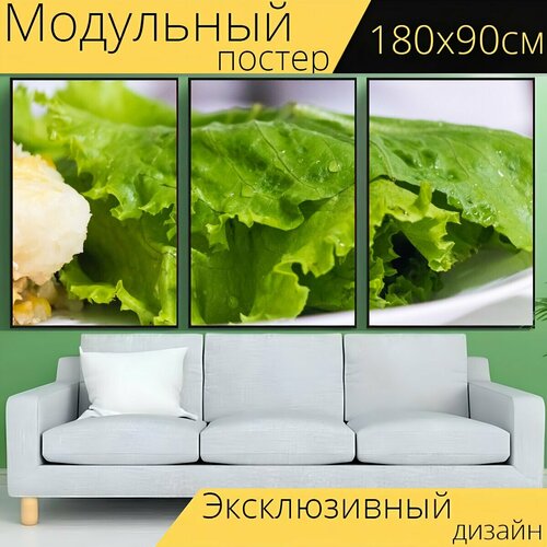 Модульный постер "Латук, зеленый, овощи" 180 x 90 см. для интерьера