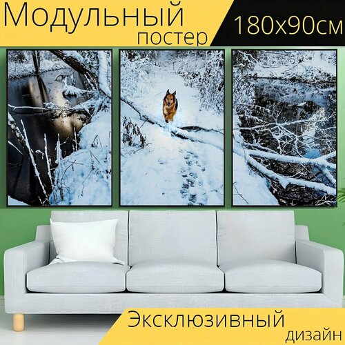 Модульный постер "Собака, снег, вода" 180 x 90 см. для интерьера