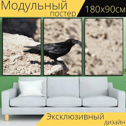 Модульный постер "Ворона, птица, животное" 180 x 90 см. для интерьера
