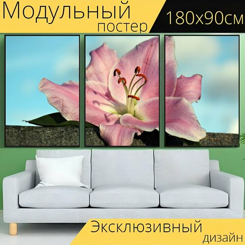 Модульный постер "Лили, цветок, цвести" 180 x 90 см. для интерьера