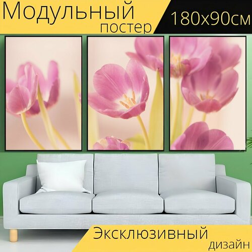 Модульный постер "Тюльпаны, цветок, расцветает" 180 x 90 см. для интерьера