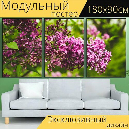 Модульный постер "Сирень, фиолетовый, цветок" 180 x 90 см. для интерьера