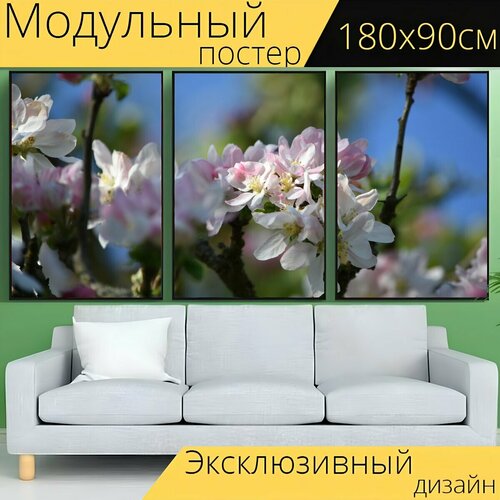 Модульный постер "Яблоневый цвет, фруктовое дерево, весна" 180 x 90 см. для интерьера
