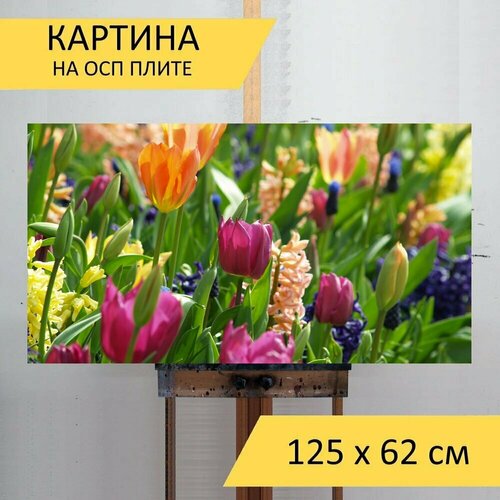 Картина на ОСП 125х62 см. "Цветы, весна, тюльпан" горизонтальная, для интерьера, с креплениями