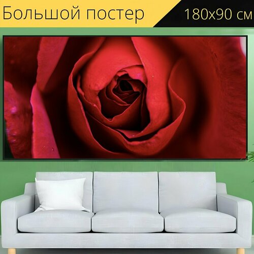 Большой постер "Сад, цветок, роза" 180 x 90 см. для интерьера