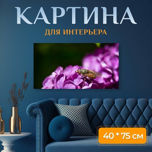 Картина на холсте "Сирень, цветок, фиолетовый" на подрамнике 75х40 см. для интерьера