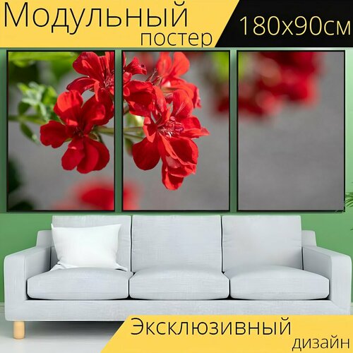 Модульный постер "Герань, красный, цветок" 180 x 90 см. для интерьера