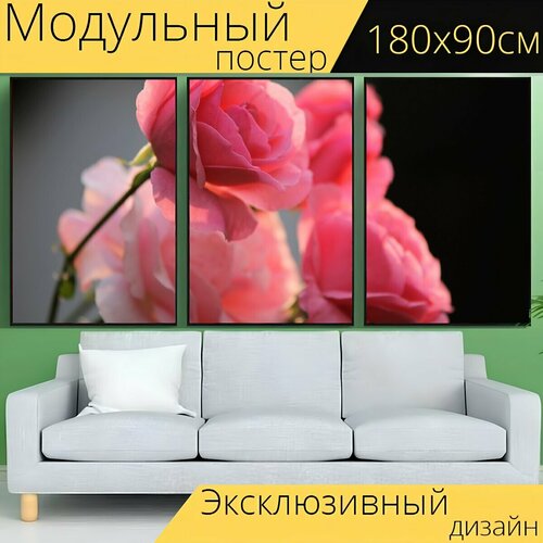Модульный постер "Розовые розы папийон, розы, цветы" 180 x 90 см. для интерьера
