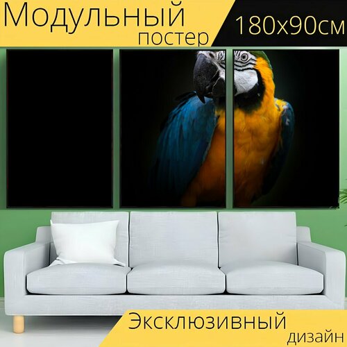 Модульный постер "Попугай, эра, животное" 180 x 90 см. для интерьера
