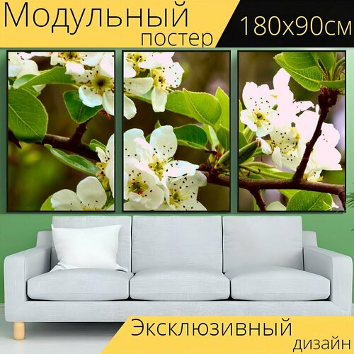 Модульный постер "Однако, цветение, весна" 180 x 90 см. для интерьера