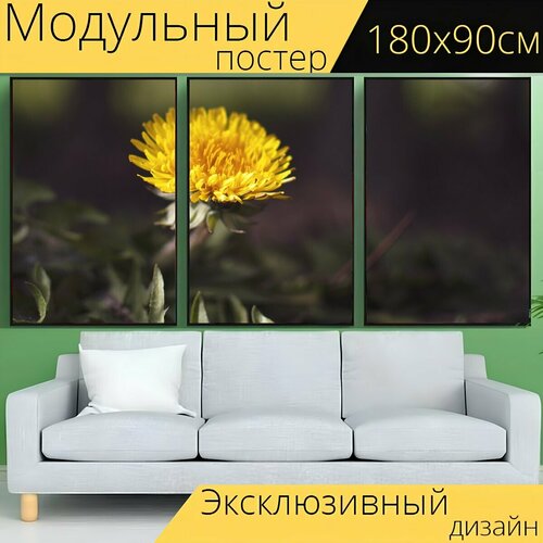Модульный постер "Одуванчик, цветок, овощ" 180 x 90 см. для интерьера