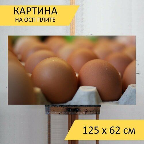 Картина на ОСП 125х62 см. "Яйца, еда, яйцо" горизонтальная, для интерьера, с креплениями
