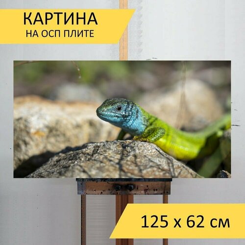 Картина на ОСП 125х62 см. "Ящерица, пляж, природа" горизонтальная, для интерьера, с креплениями