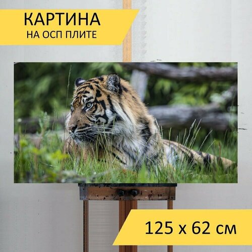 Картина на ОСП 125х62 см. "Тигр, большой кот, хищник" горизонтальная, для интерьера, с креплениями