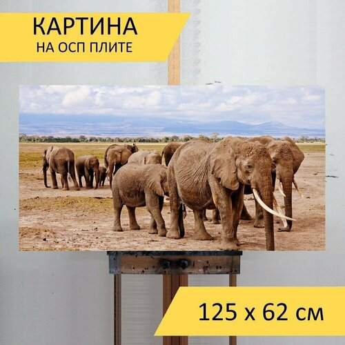 Картина на ОСП 125х62 см. "Слоны, семья, сундуки" горизонтальная, для интерьера, с креплениями