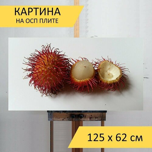 Картина на ОСП 125х62 см. "Фрукты, рамбутан, тайские фрукты" горизонтальная, для интерьера, с креплениями