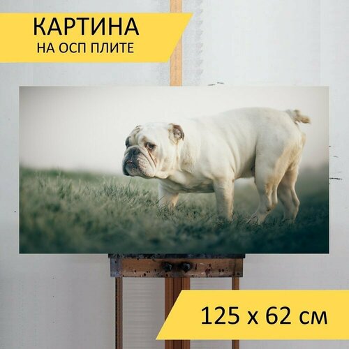 Картина на ОСП 125х62 см. "Бульдог, собака, поле" горизонтальная, для интерьера, с креплениями
