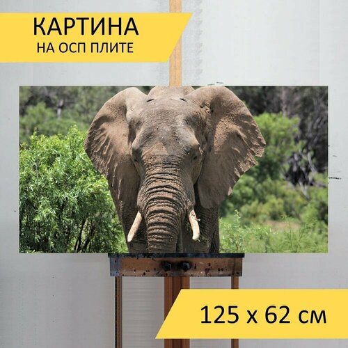 Картина на ОСП 125х62 см. "Африканец, слон, бык" горизонтальная, для интерьера, с креплениями