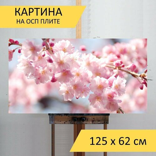 Картина на ОСП 125х62 см. "Цветение вишни, цветы, весна" горизонтальная, для интерьера, с креплениями