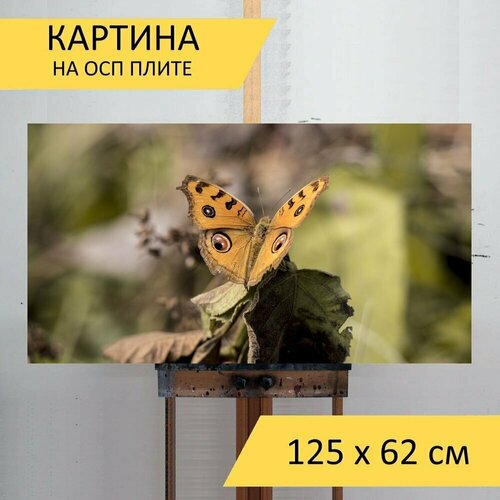 Картина на ОСП 125х62 см. "Бабочка, природа, насекомое" горизонтальная, для интерьера, с креплениями