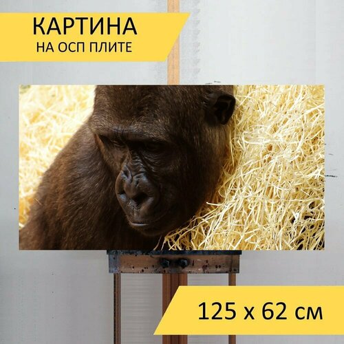 Картина на ОСП 125х62 см. "Горилла, обезьяна, животное" горизонтальная, для интерьера, с креплениями