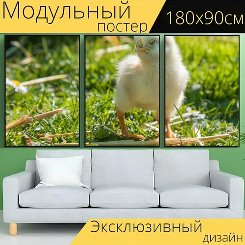 Модульный постер "Цыпленок, курица, пасхальный" 180 x 90 см. для интерьера
