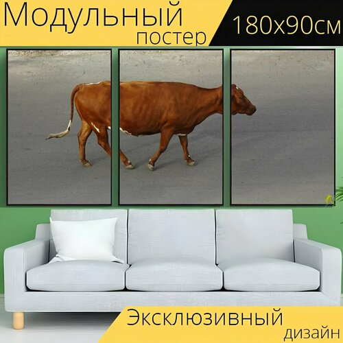 Модульный постер "Корова, красный, порода" 180 x 90 см. для интерьера