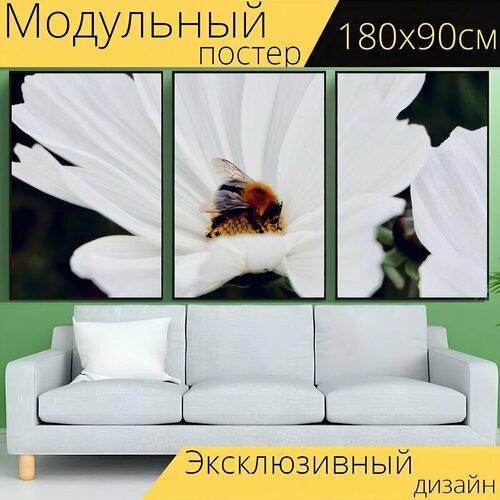 Модульный постер "Пчела, цветы, насекомые" 180 x 90 см. для интерьера