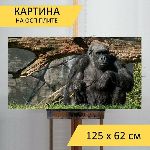 Картина на ОСП 125х62 см. "Зоопарк, обезьяна, животное" горизонтальная, для интерьера, с креплениями