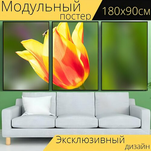 Модульный постер "Тюльпан, цветок, летать" 180 x 90 см. для интерьера