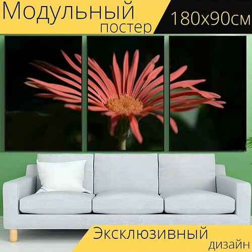 Модульный постер "Флора, цветок, природаза" 180 x 90 см. для интерьера