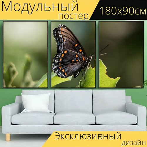 Модульный постер "Бабочка, природа, насекомое" 180 x 90 см. для интерьера