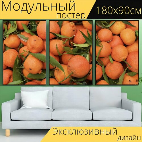 Модульный постер "Оранжевый плод, в хорошем здравии, лист" 180 x 90 см. для интерьера