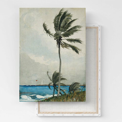 Картина на холсте, репродукция / Уинслоу Хомер - Palm Tree, Nassau / Размер 60 x 80 см
