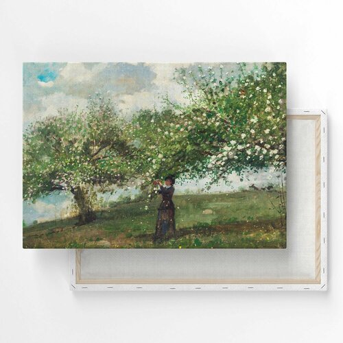 Картина на холсте, репродукция / Уинслоу Хомер - Girl Picking Apple Blossoms, 1879 / Размер 40 x 53 см
