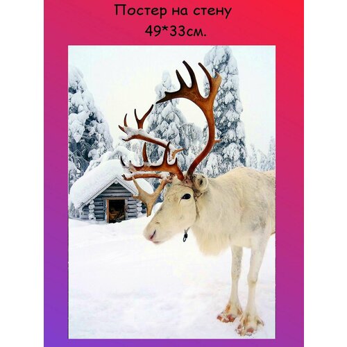 Постер, плакат на стену "Зима, Winter" 49х33 см (А3+)