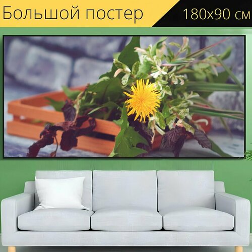 Большой постер "Одуванчик, полевой цветок, цветы" 180 x 90 см. для интерьера