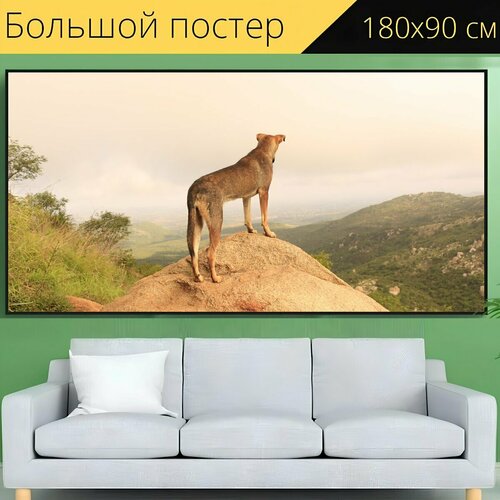 Большой постер "Собака, холм, природа" 180 x 90 см. для интерьера